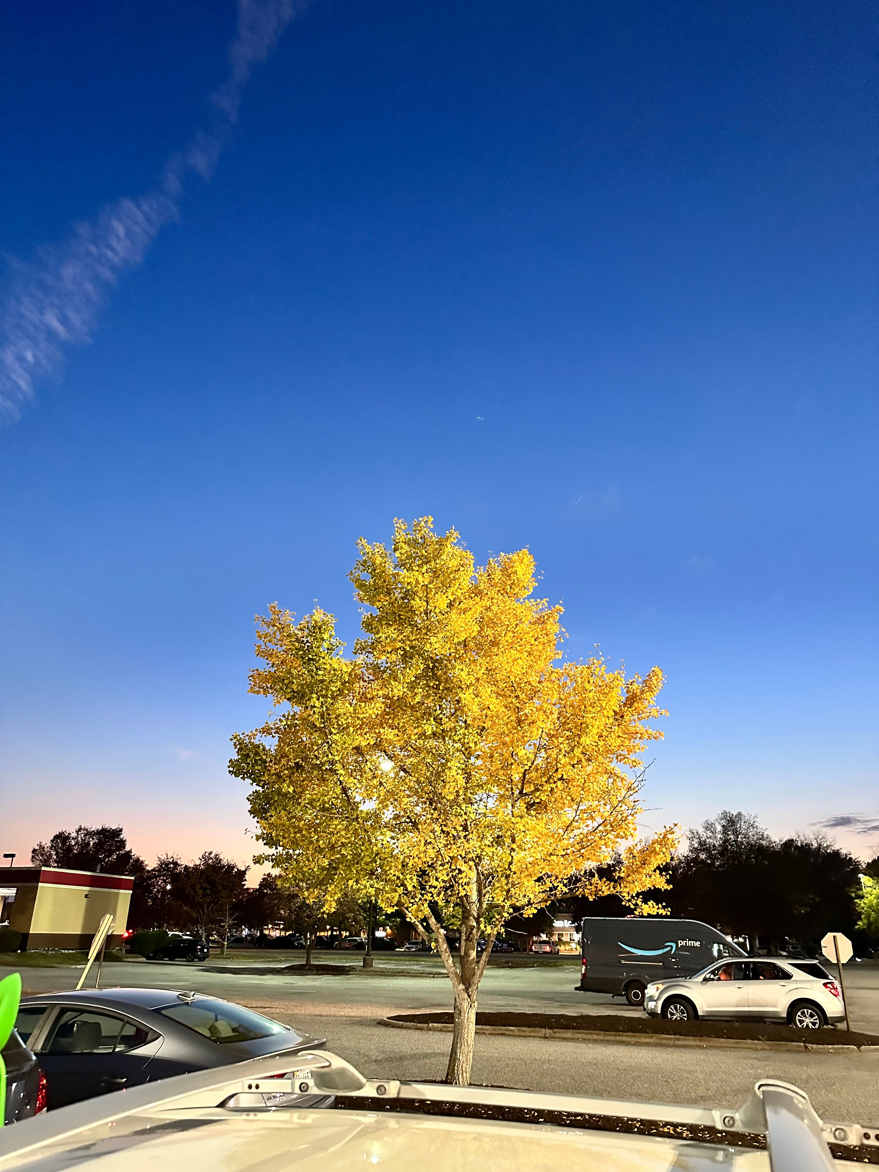 Alexandra Locke | CBR