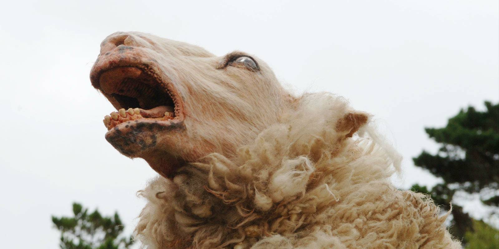 From Condoms To Tires: The 15 Most Ridiculous Horror Movie Monsters