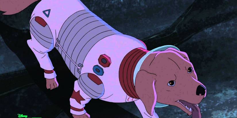 The 15 Coolest Superhero Animals