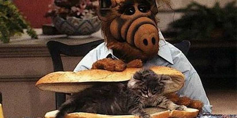 10 Best Sitcoms With A Sci-Fi Twist