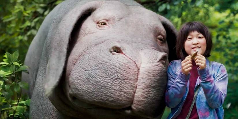 10 Best Climate Stories in Film and TV