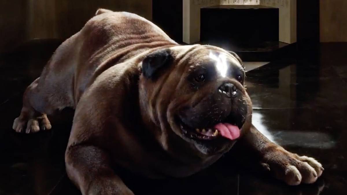 Lockjaw Stars in Marvel's Inhumans Illustrated Poster