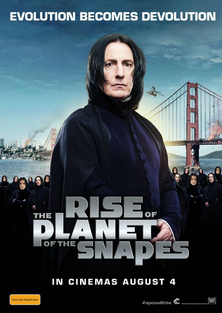 Fan Mashup Posters