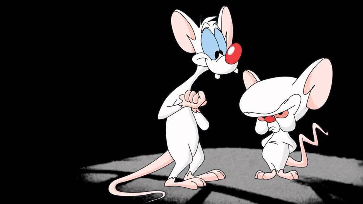 Steven Spielberg's Animated Sitcom Pinky and the Brain Finds a New Life ...