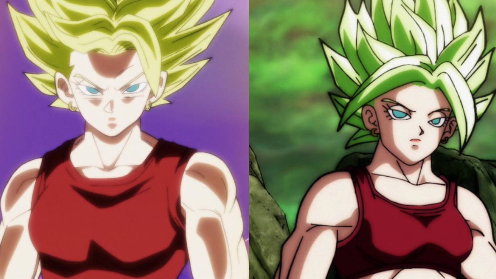 10 Tallest Female Dragon Ball Characters, Ranked