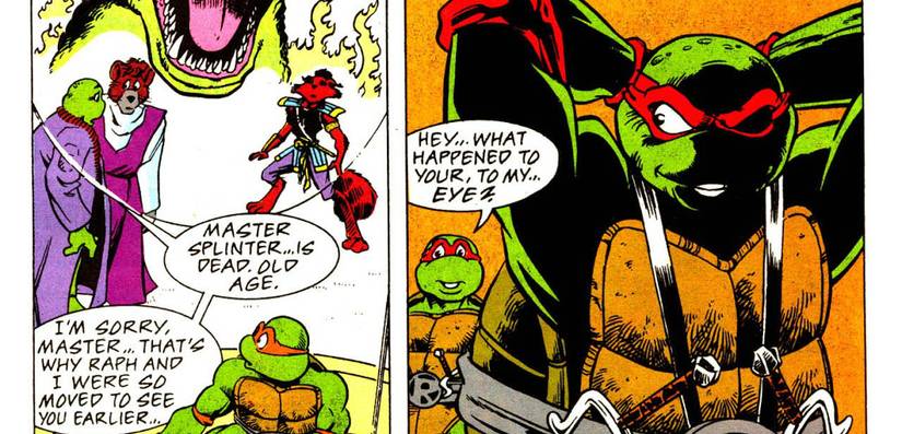 Dark Secrets About Raphael From The Teenage Mutant Ninja Turtles
