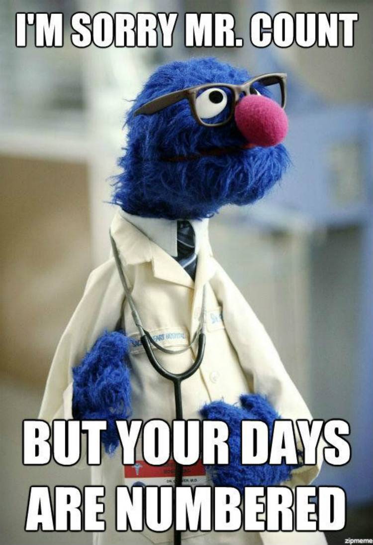 Funny Muppet Memes