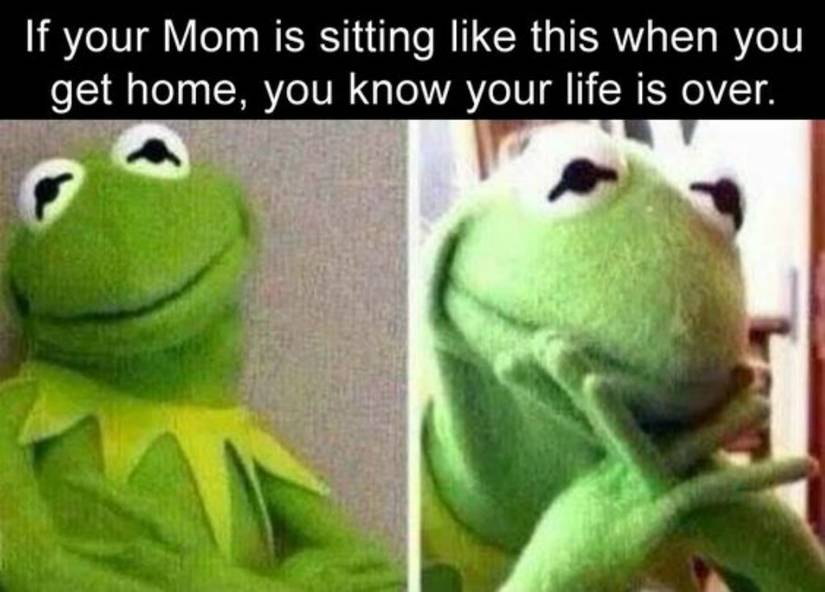 Funny Muppet Memes