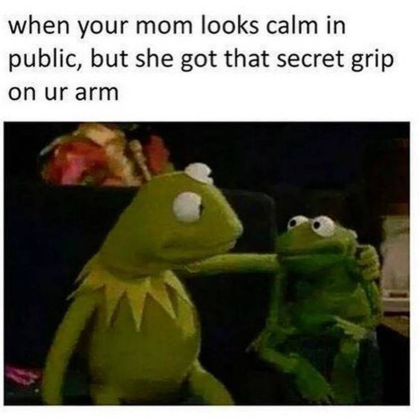 Funny Muppet Memes