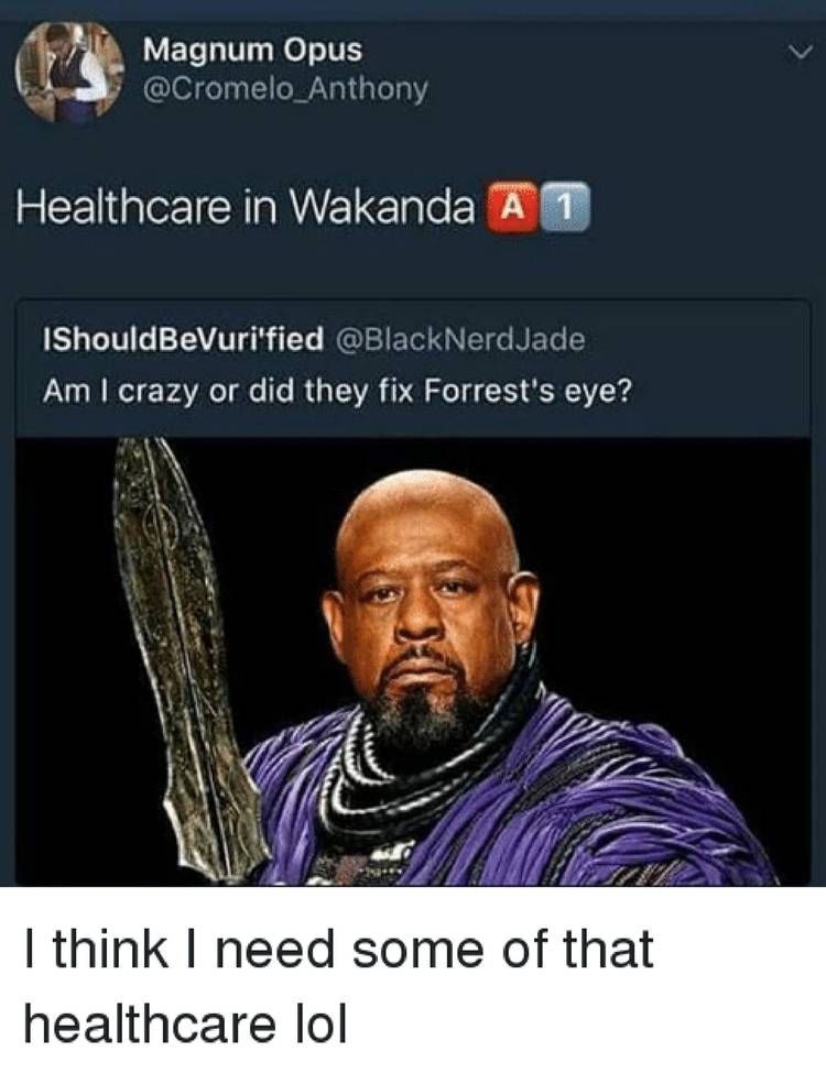 Dankanda Forever: 16 Hilarious Wakanda Memes