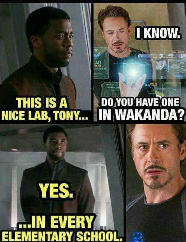 Dankanda Forever: 16 Hilarious Wakanda Memes