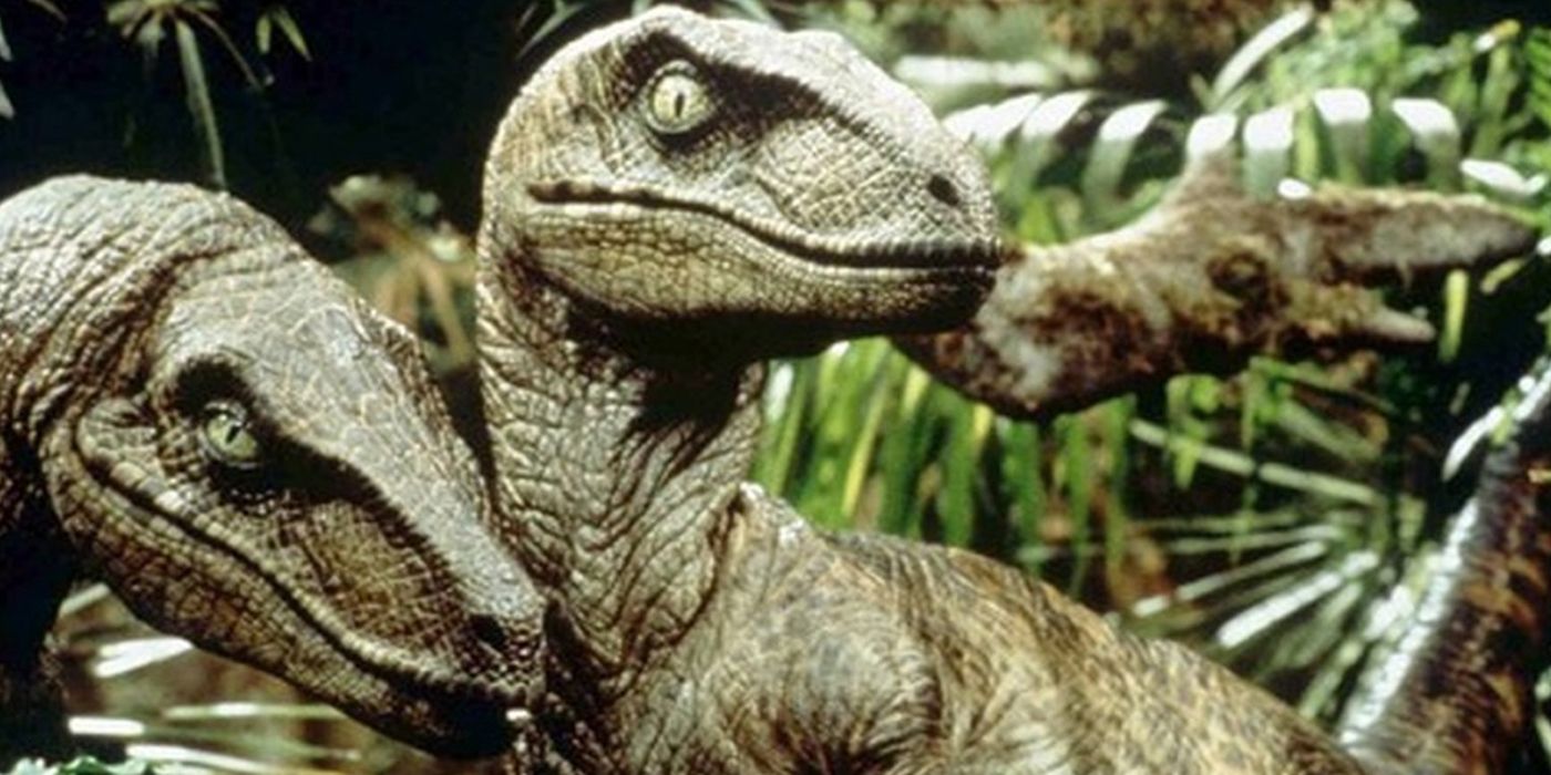 Velociraptor Jurassic Park Amino Amino Velociraptor | Wiki