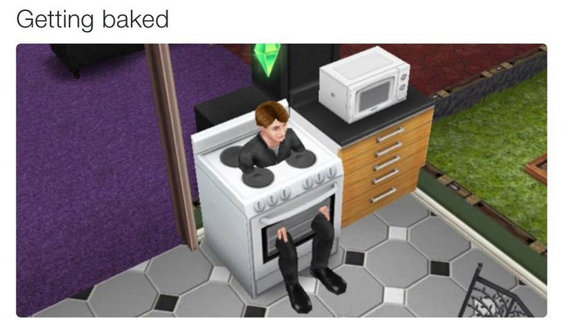 Sims Memes