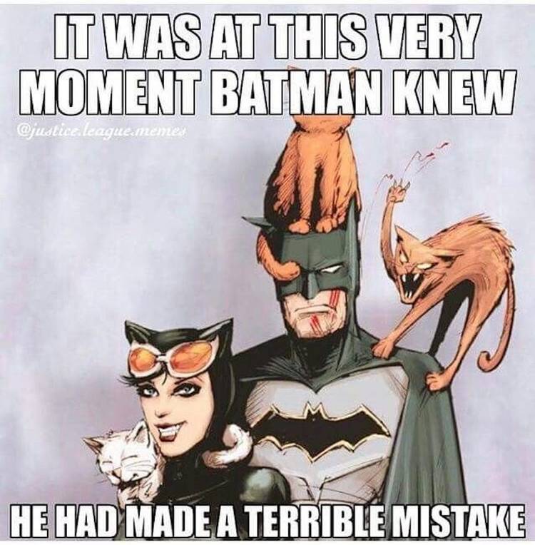 15 Hilarious Batman And Catwoman Memes