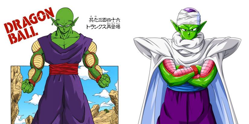 piccolo info