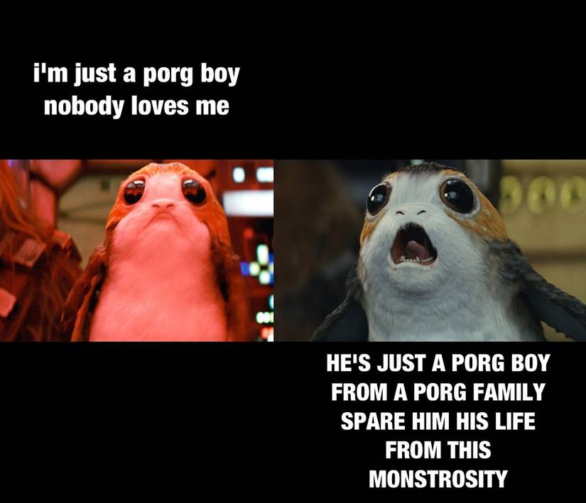May The Porg Be With You: 15 Porg Memes That Broke The Internet
