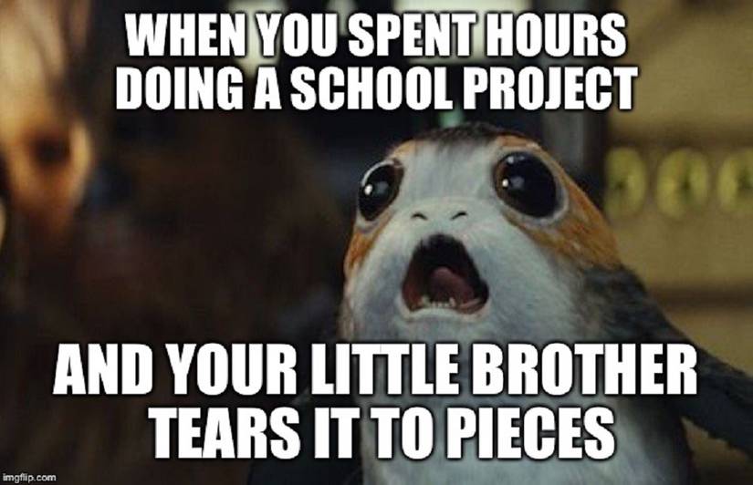 May The Porg Be With You: 15 Porg Memes That Broke The Internet