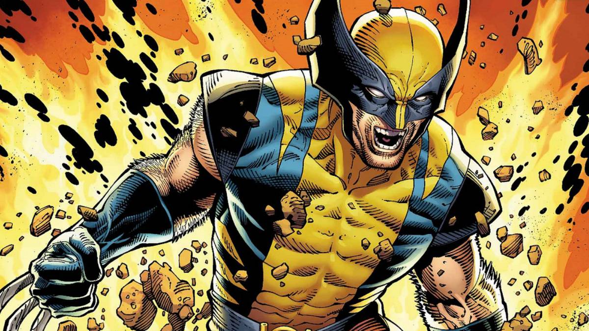 wolverine what is it