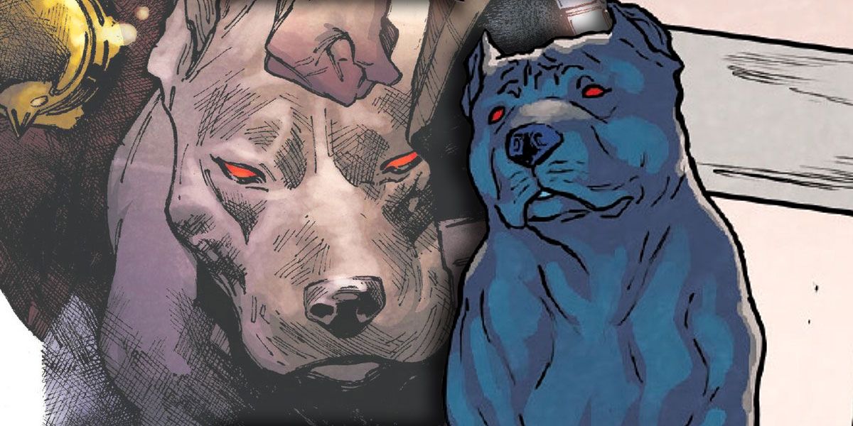 Thor's Dog Thori Brings to Murderous Life the Famous Oprah Meme
