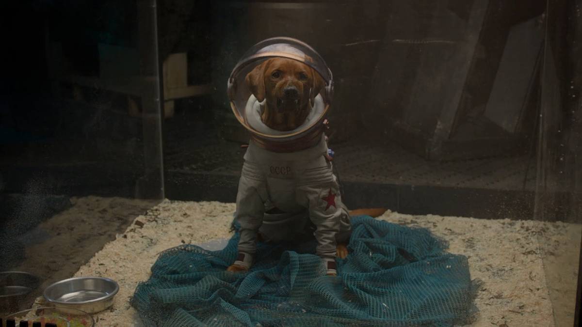 GotG 3: James Gunn Explains Why the MCU's Cosmo Is a Girl
