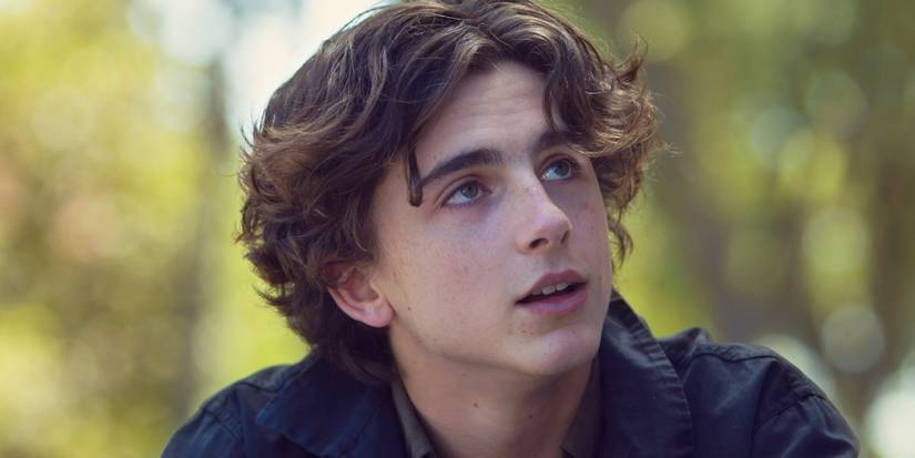 10 Best Timothée Chalamet Movies, Ranked