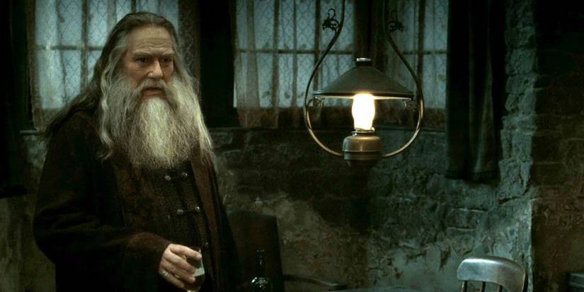 15 Most Questionable Harry Potter Storylines