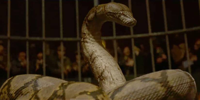 What Are the 7 Horcruxes in Harry Potter & How Are They Destroyed?