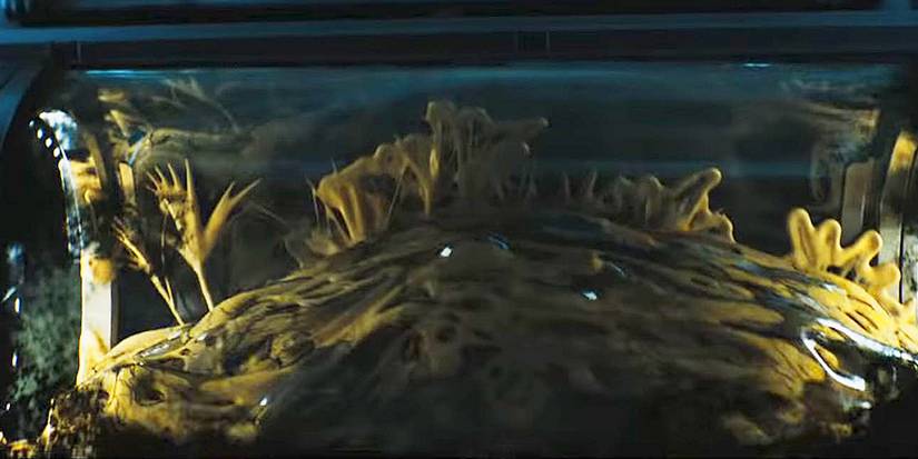 Venom Movie Fixes Trailer's Pronunciation of Symbiote