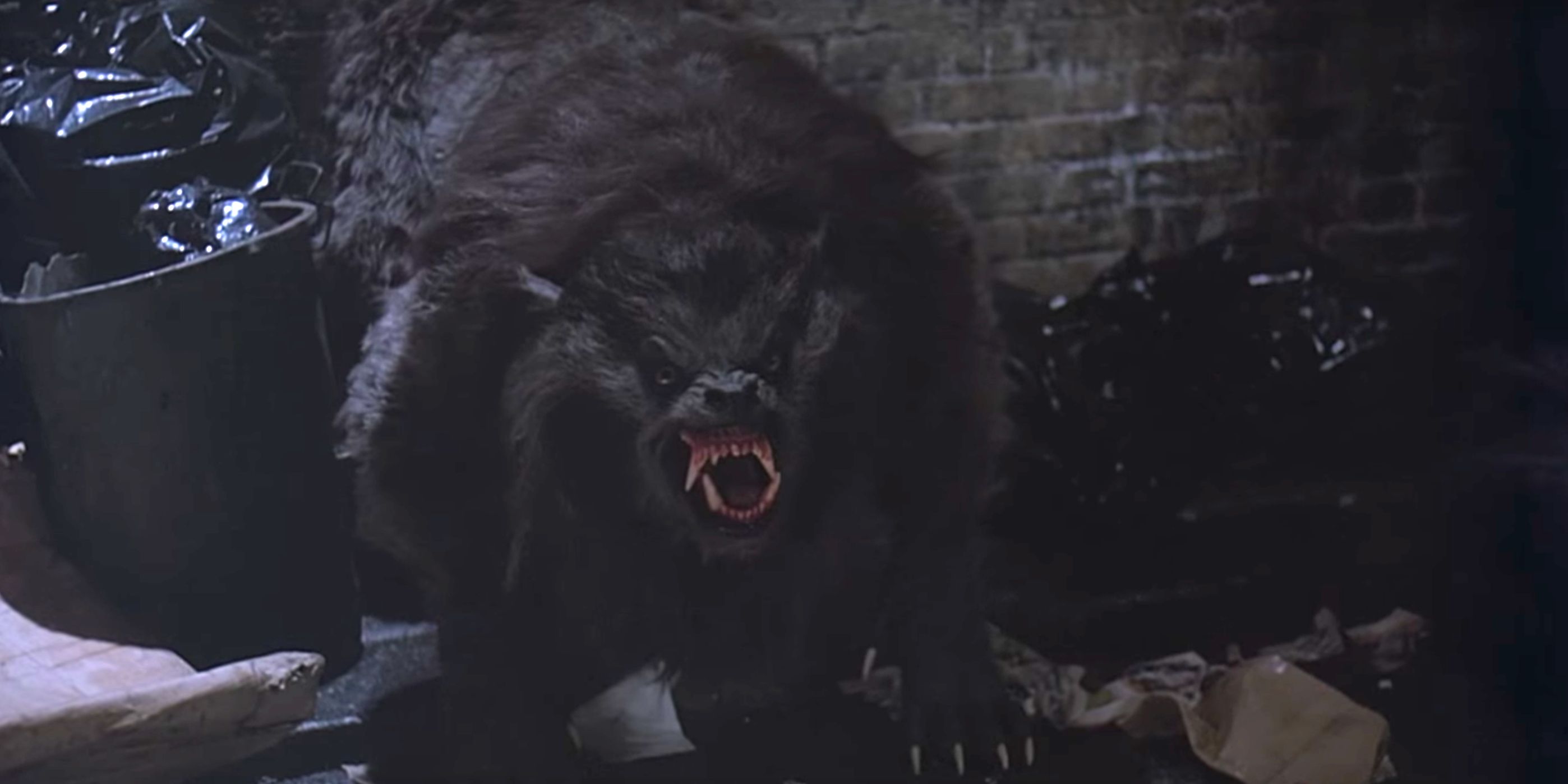 10 Best Body Horror Movies of All Time, Ranked