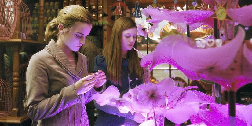 10 Most Complicated Harry Potter Potions