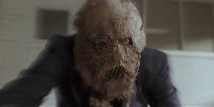 Batman Begins: 10 Things You Didn't Know About Cillian Murphy's Scarecrow