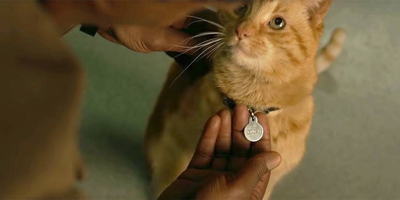 Captain Marvel: Everything You Need To Know About The Flerken