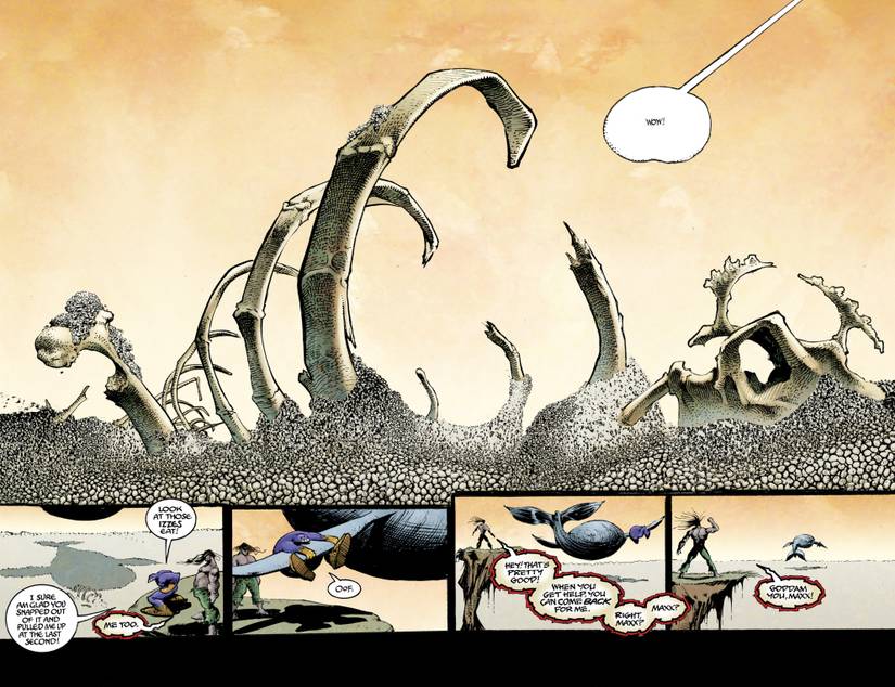 How MTV's The Maxx Erased the Pitt and Savage Dragon