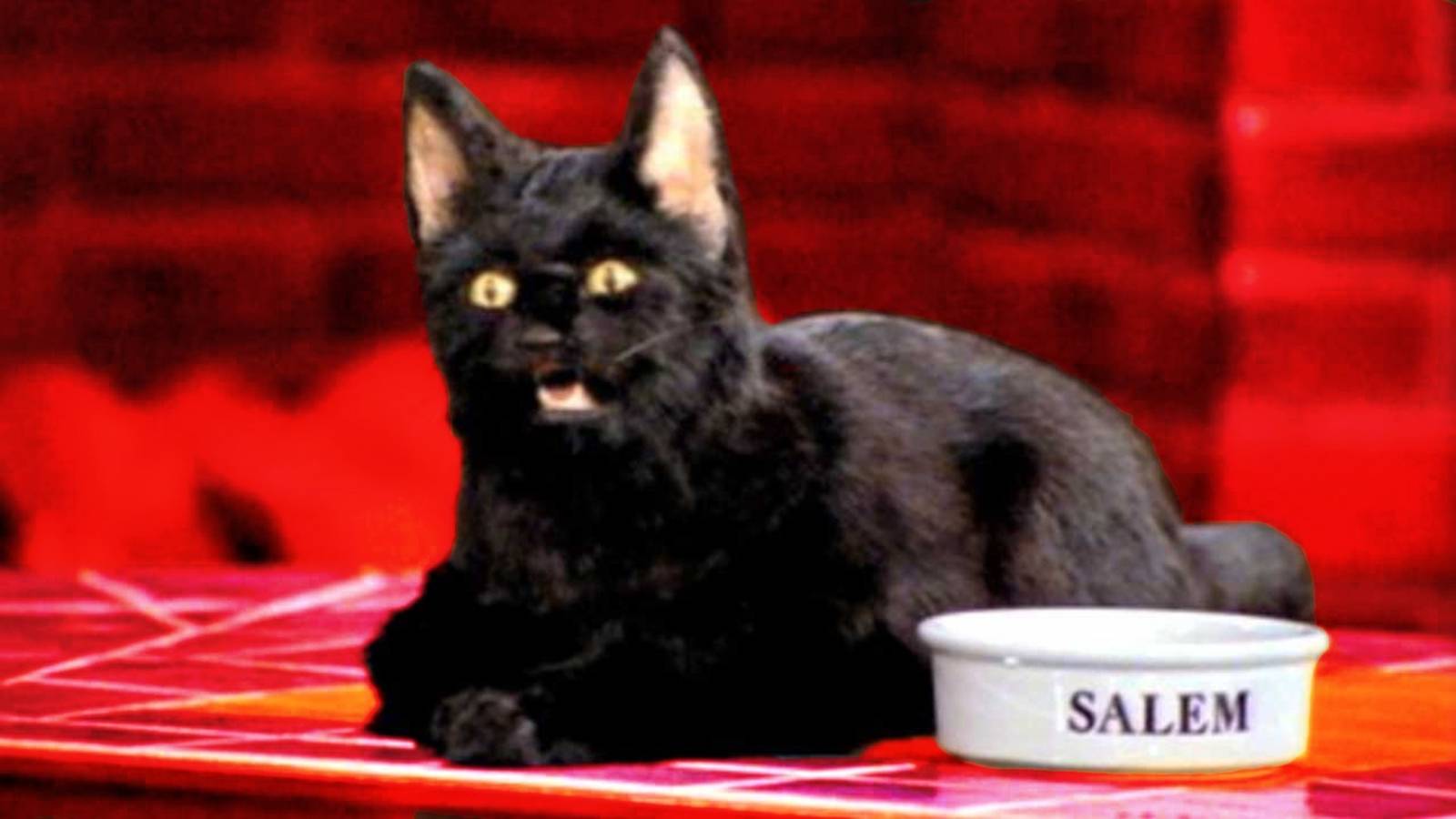 Sabrina: 10 Facts About Salem, Her Cat