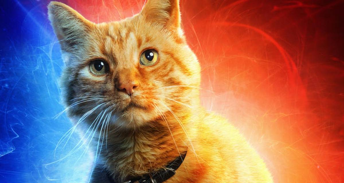 Captain Marvel’s Goose the Cat Is the MCU’s Next Breakout Star