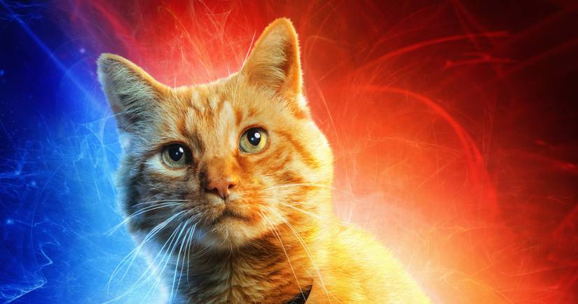 Everything You Need To Know About The Captain Marvel Cast