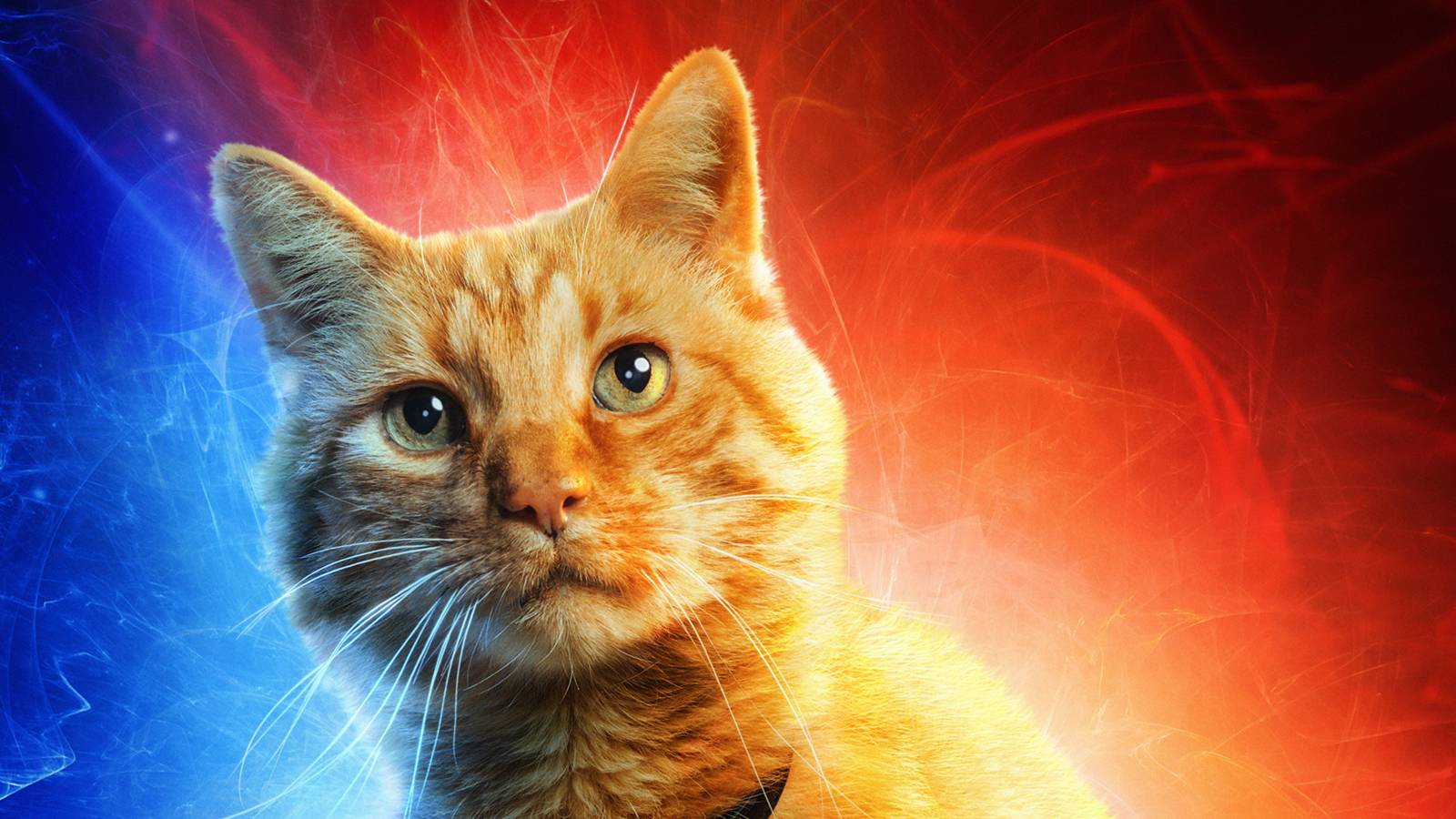 Goose, Captain Marvel's Cat, is Adorable. But What Else is She?