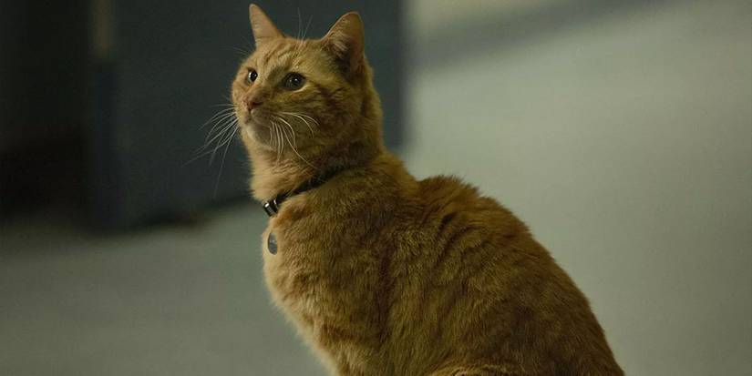 Captain Marvel: Everything You Need To Know About The Flerken