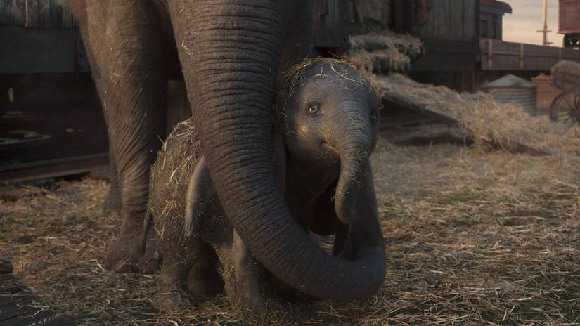 Disney's Dead Parent Problem, Explained