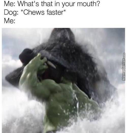 9 Funny Memes Of Marvel's Hulk
