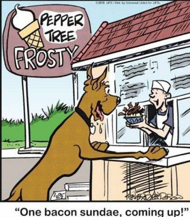 Funniest Comic Strip Pets, Ranked