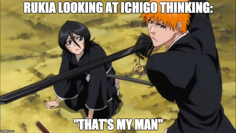 15 Bleach Memes Only True Fans Will Love