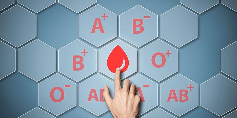 One Piece: 15 Things About Marco Fans Never Knew