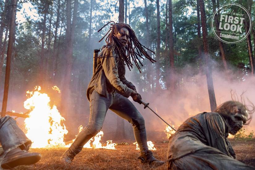 The Walking Dead Season 10 Reveals First Look at Michonne