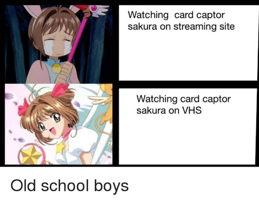 10 Cardcaptor Logic Memes That Are Too Hilarious For Words
