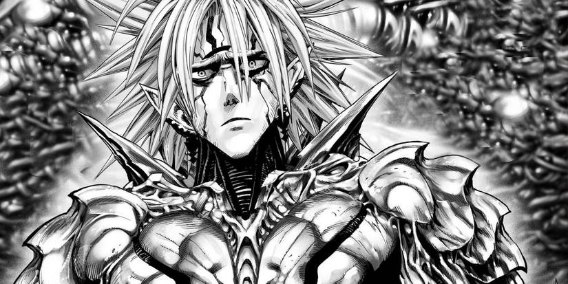 One-Punch Man: 10 Things Fans Should Know About Boros