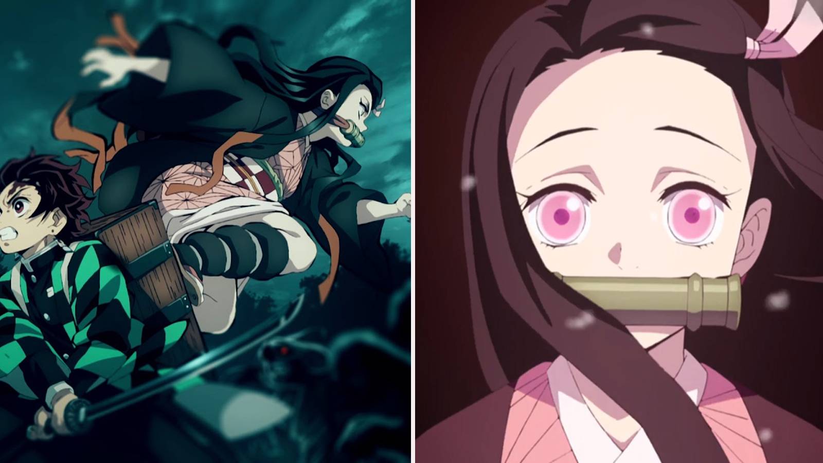 Demon Slayer: 15 Things You Didn’t Know About Nezuko Kamado