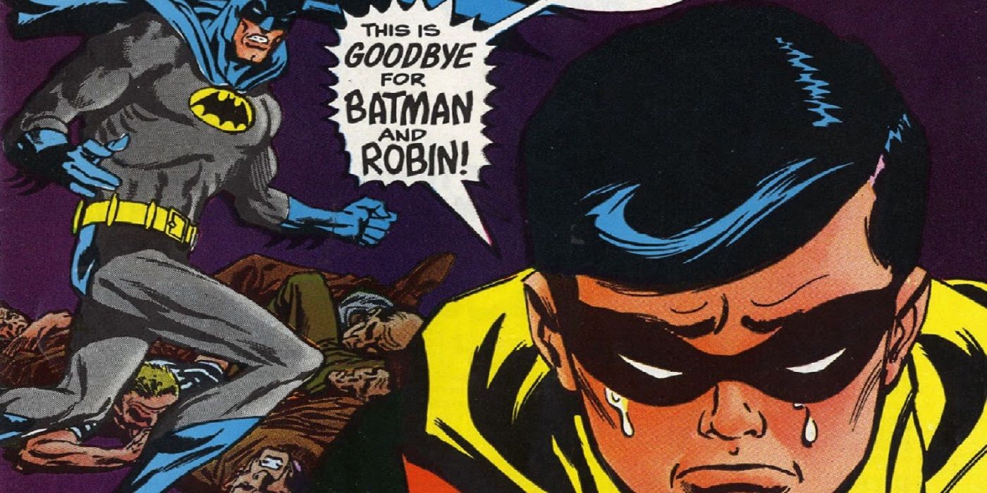 Derpy Batman And Robin