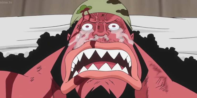 10 Best One Piece Episodes in the Fishman Island Arc, Ranked