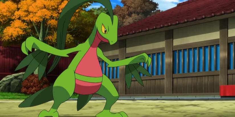 The Three Hoenn Starter Pokémon, Explained